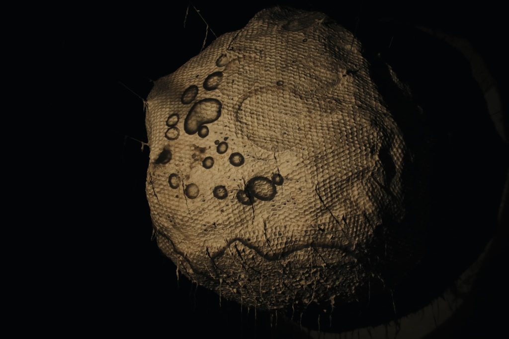 大稻埕國際藝術節《光的胎動》Embryonic Breath | 融聲創意 Zone Sound Creative